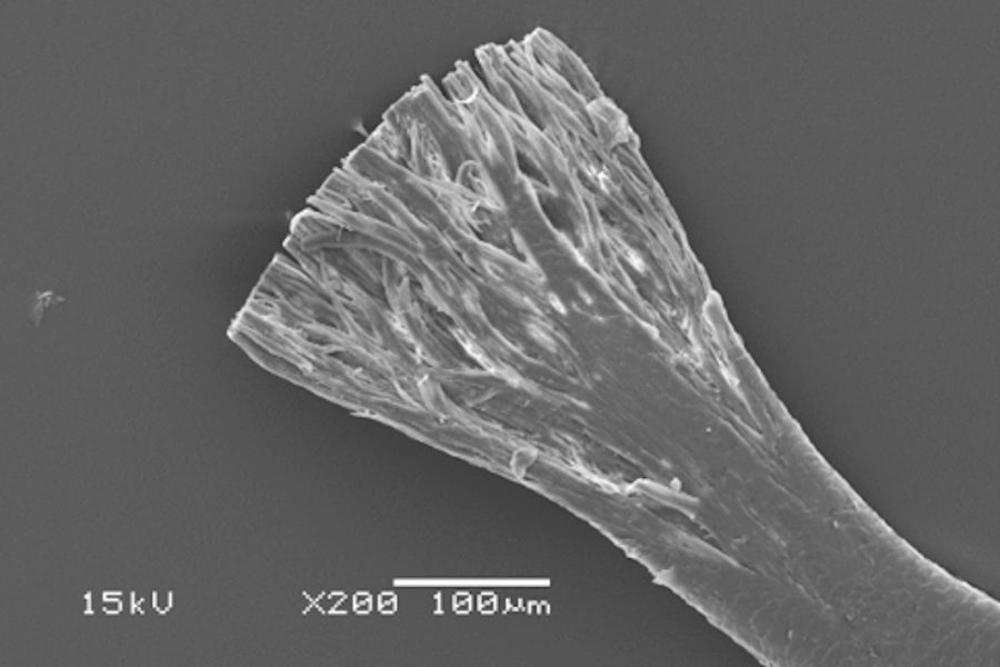 The Causes of Split Ends - Part Two – Hair Life